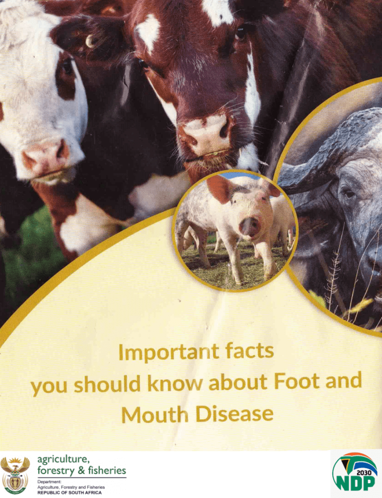 Important facts you should know about FMD | Octavoscene (Pty) Ltd