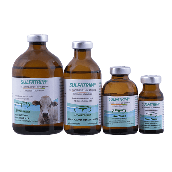 Rota and Corona Virus – Octavoscene (Pty) Ltd
